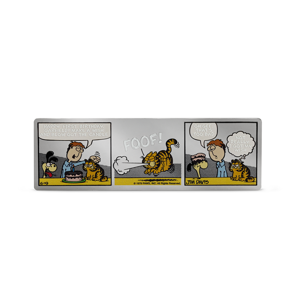 Buy Nickelodeon - Garfield's 1st Birthday by Garfield online - Agoro