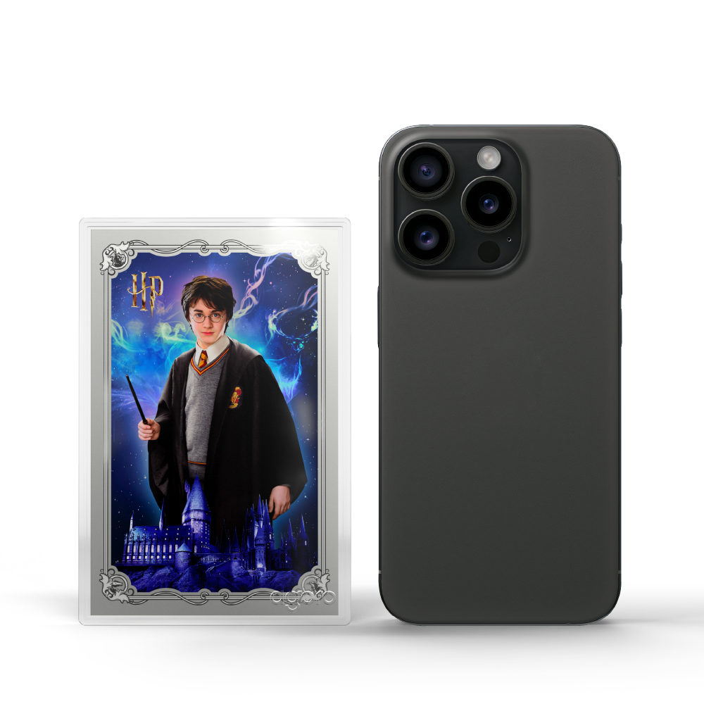 Buy HARRY POTTER™ - 25 Years of Magic Blind Box by HARRY POTTER online ...